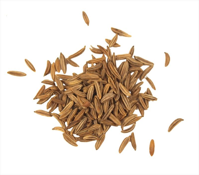 Las especias indias y su poder curativo | The Food Therapy