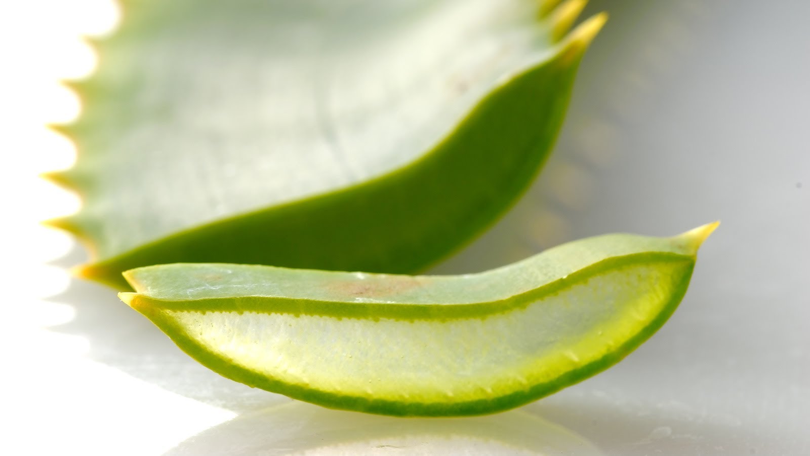El Aloe Vera en nuestra cocina | The Food Therapy